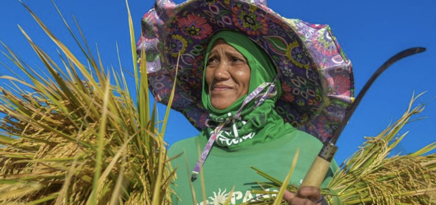 Agroinsurance