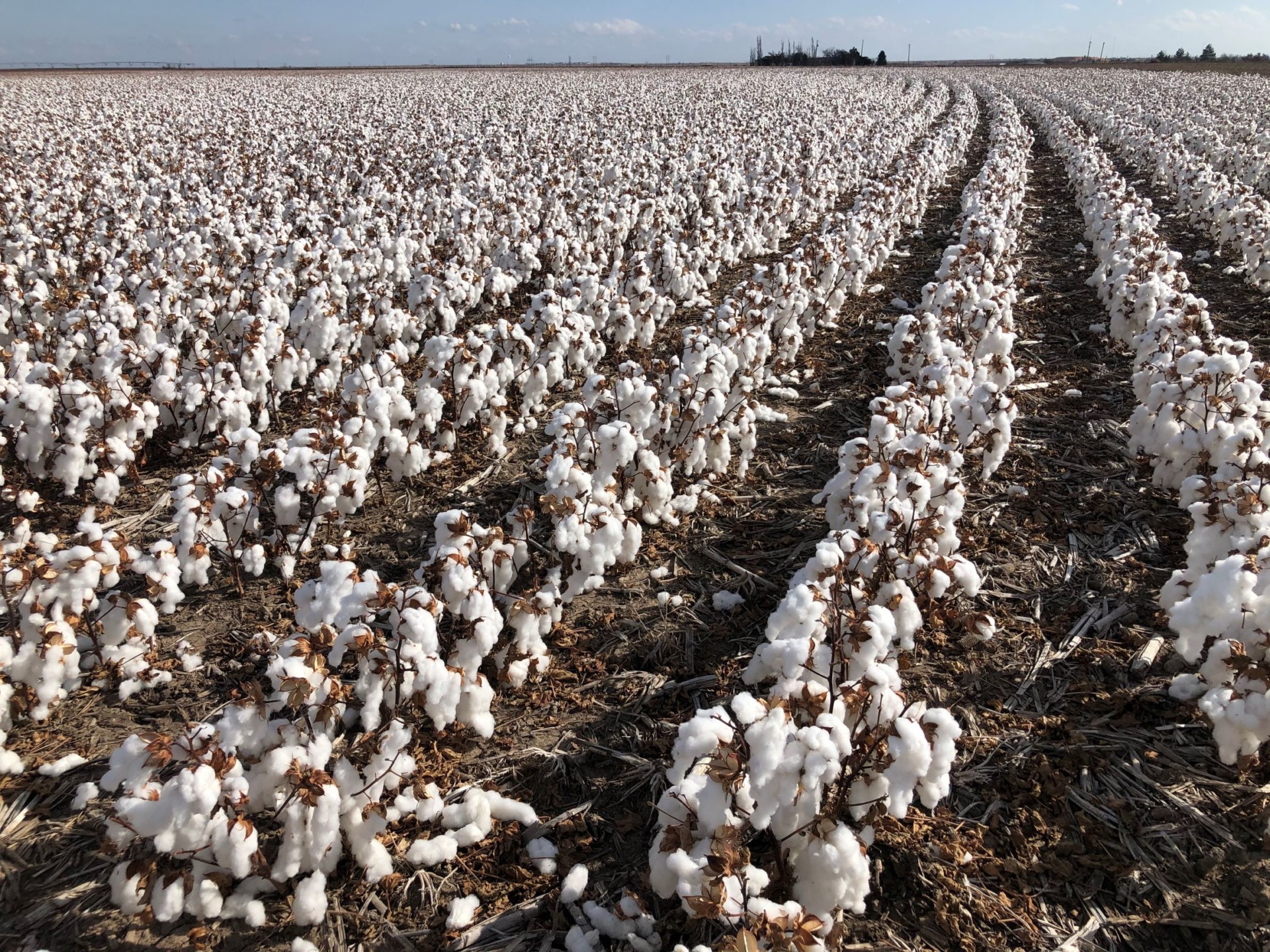 Agroinsurance